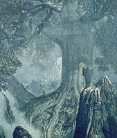 Weltenesche - startseite